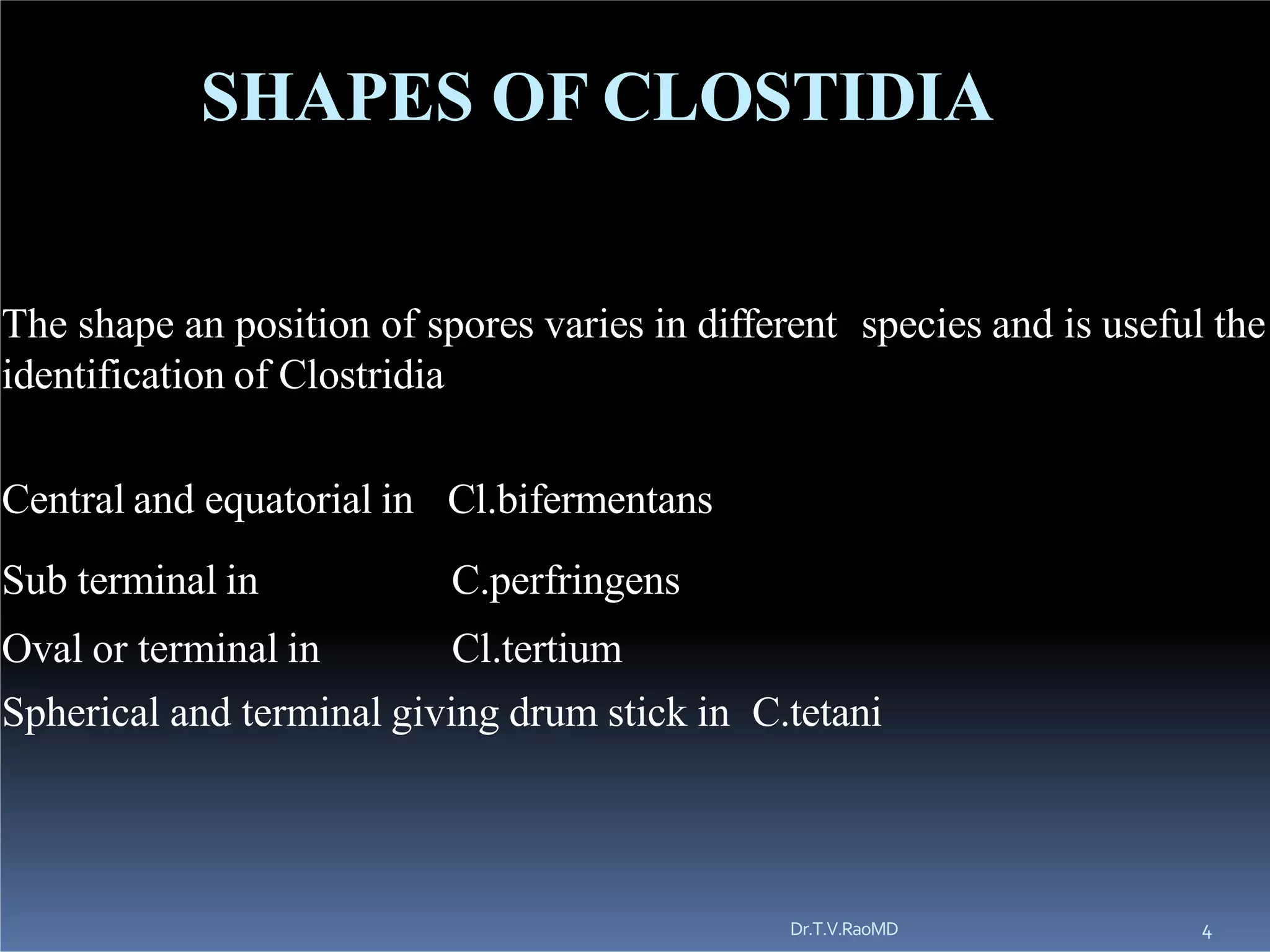 clostridium.pptx