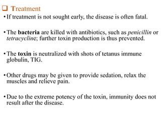 Clostridium.pptx