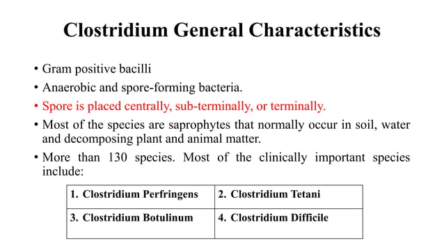 Clostridium .pptx gram-positive bacilli , clostridium tetani ...