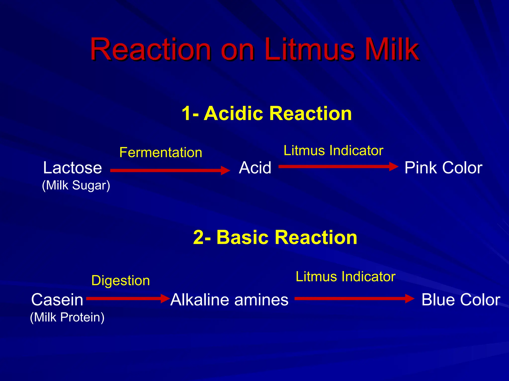 Bacteriology of Clostridium species in animals | PPT
