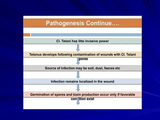 Bacteriology of Clostridium species in animals | PPT