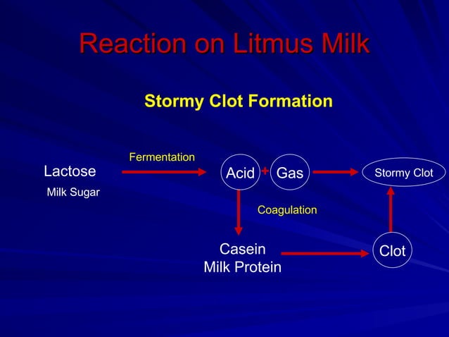 Bacteriology of Clostridium species in animals | PPT