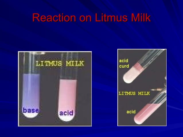 Bacteriology of Clostridium species in animals | PPT