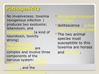 clostridium characteristics and pathogenesis.ppt