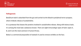 clostridium botulinum and clostridium tetani | PPTX
