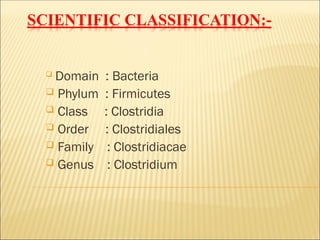 Clostridium notes for veterinary microbiology notes | PPT