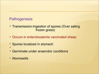 Clostridium notes for veterinary microbiology notes | PPT
