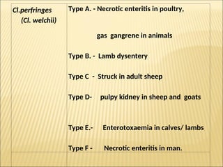 Clostridium notes for veterinary microbiology notes | PPT