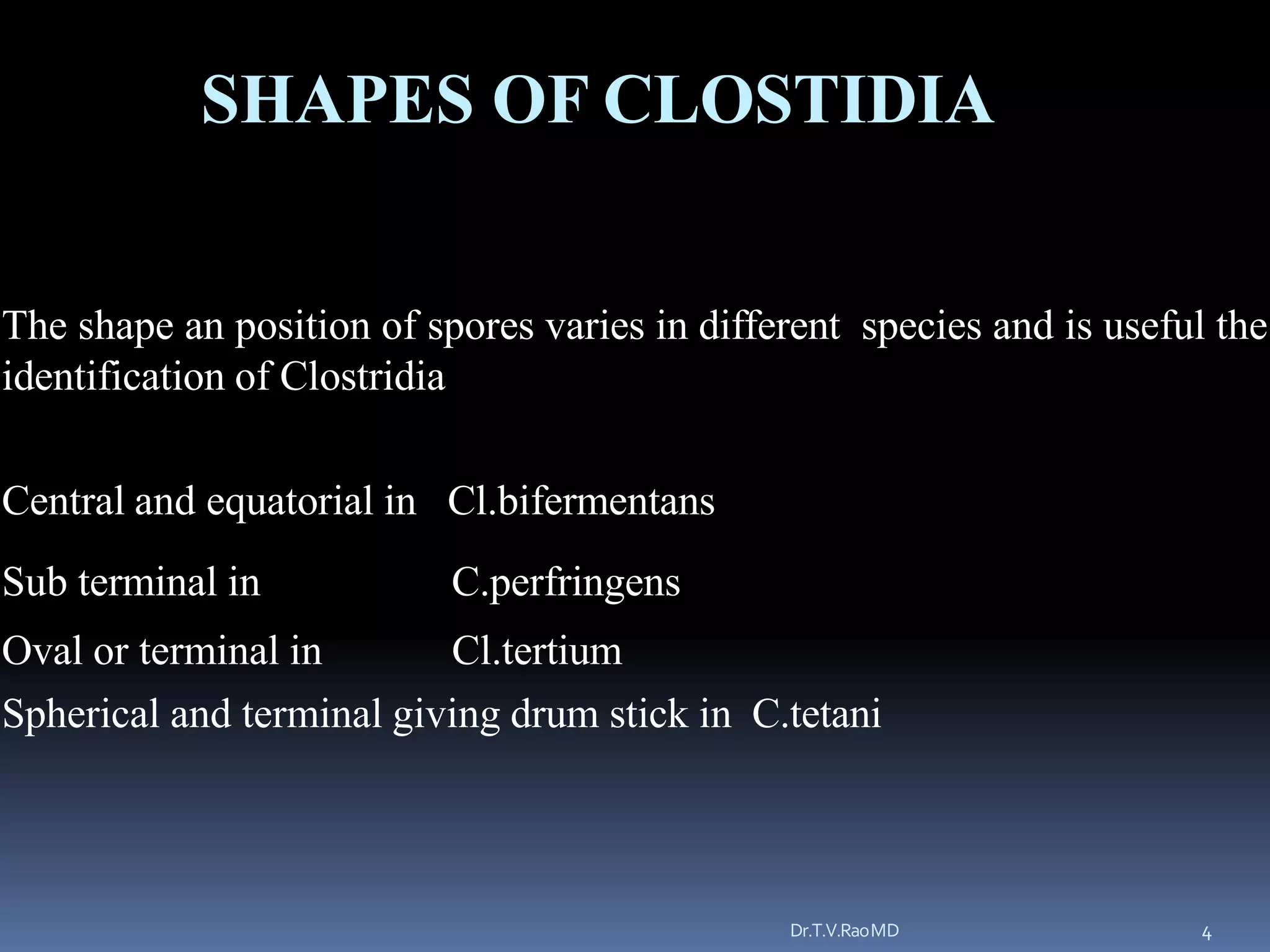 Clostridium species | PPTX