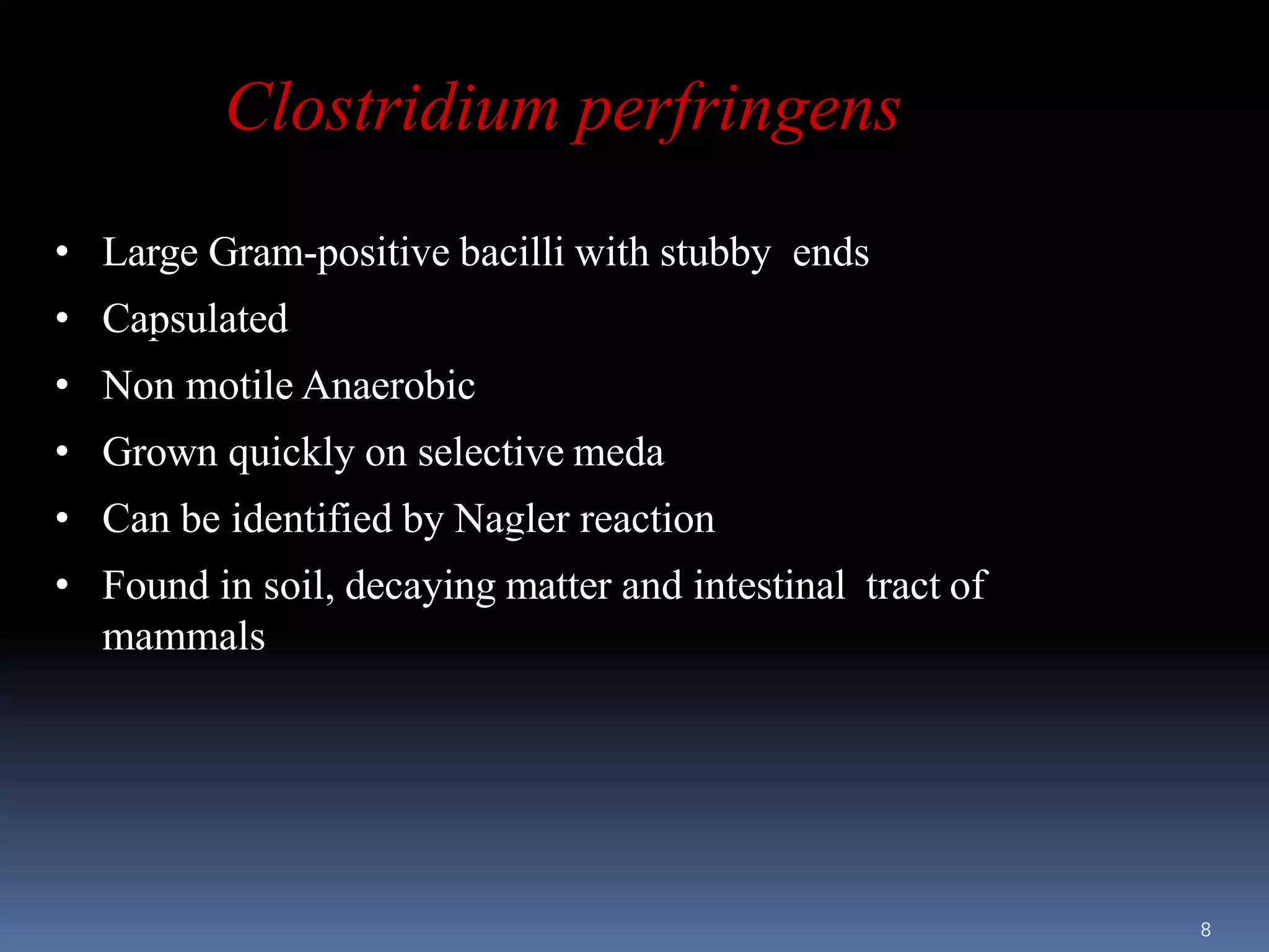 Clostridium species | PPTX