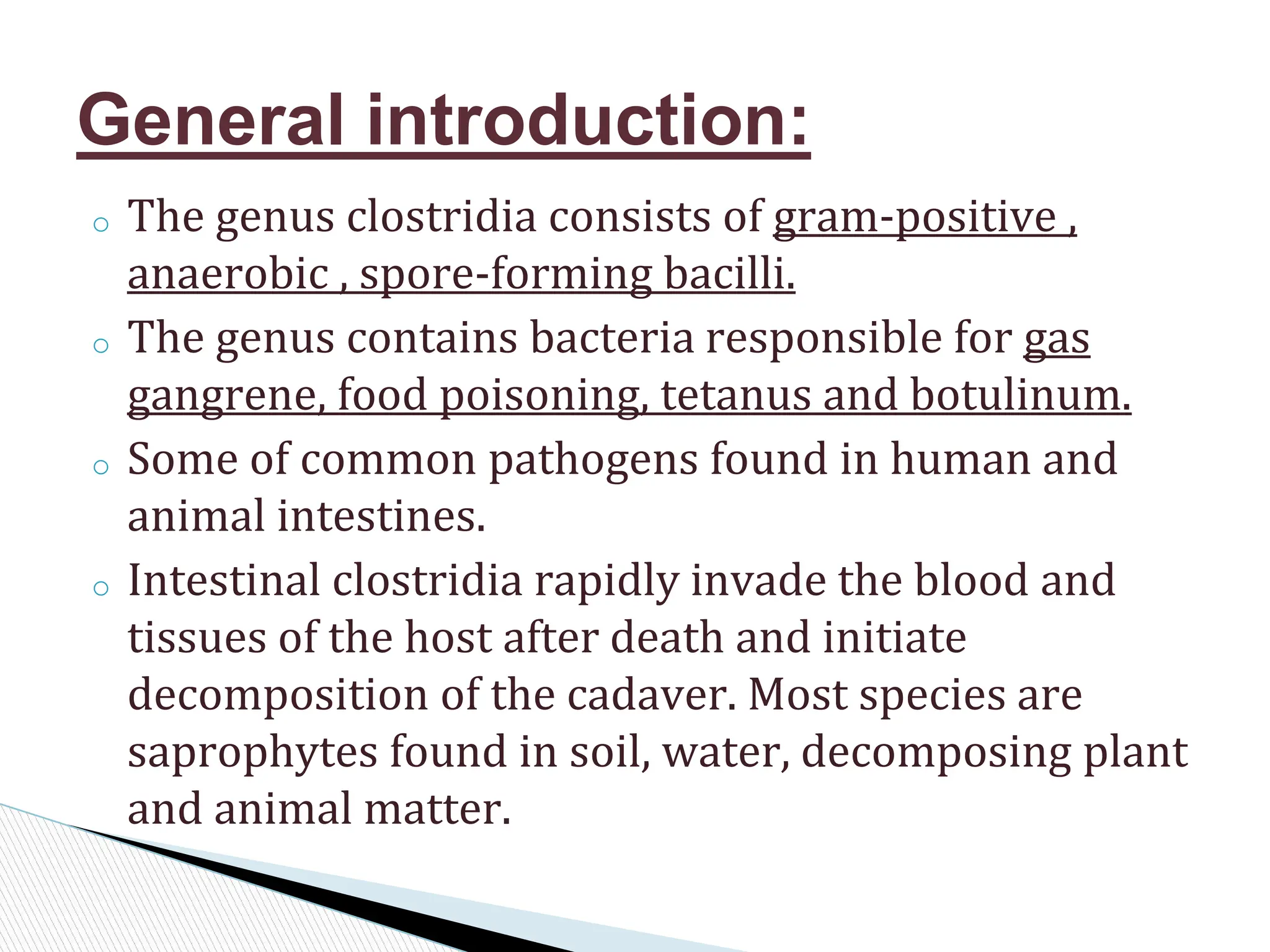CLOSTRIDIUM and its pathogenesis in humans ppt. | PPTX