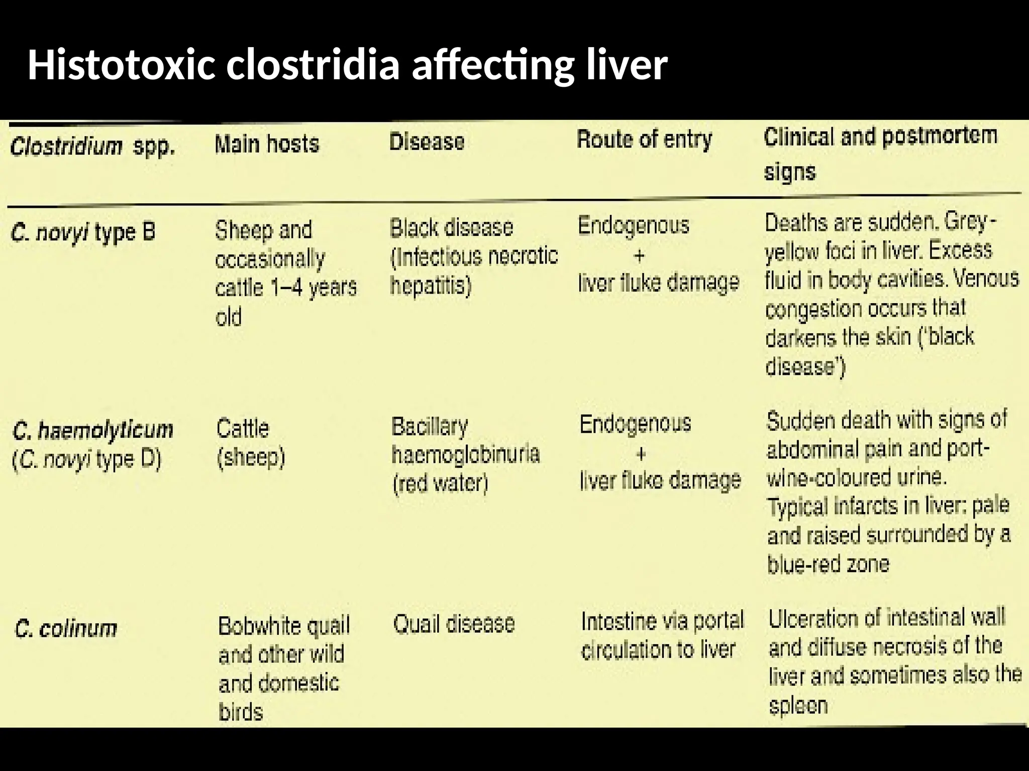 Clostridium ppt for undergraduate class | PPTX