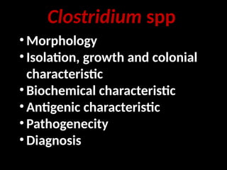 Clostridium ppt for undergraduate class | PPTX