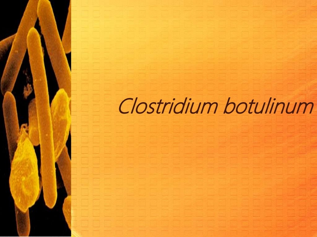 Clostridium botulinum