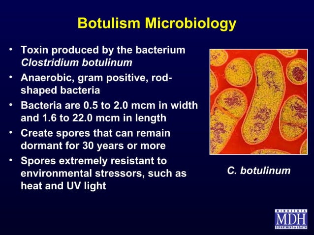 Clostridiumbotulinum | PPT