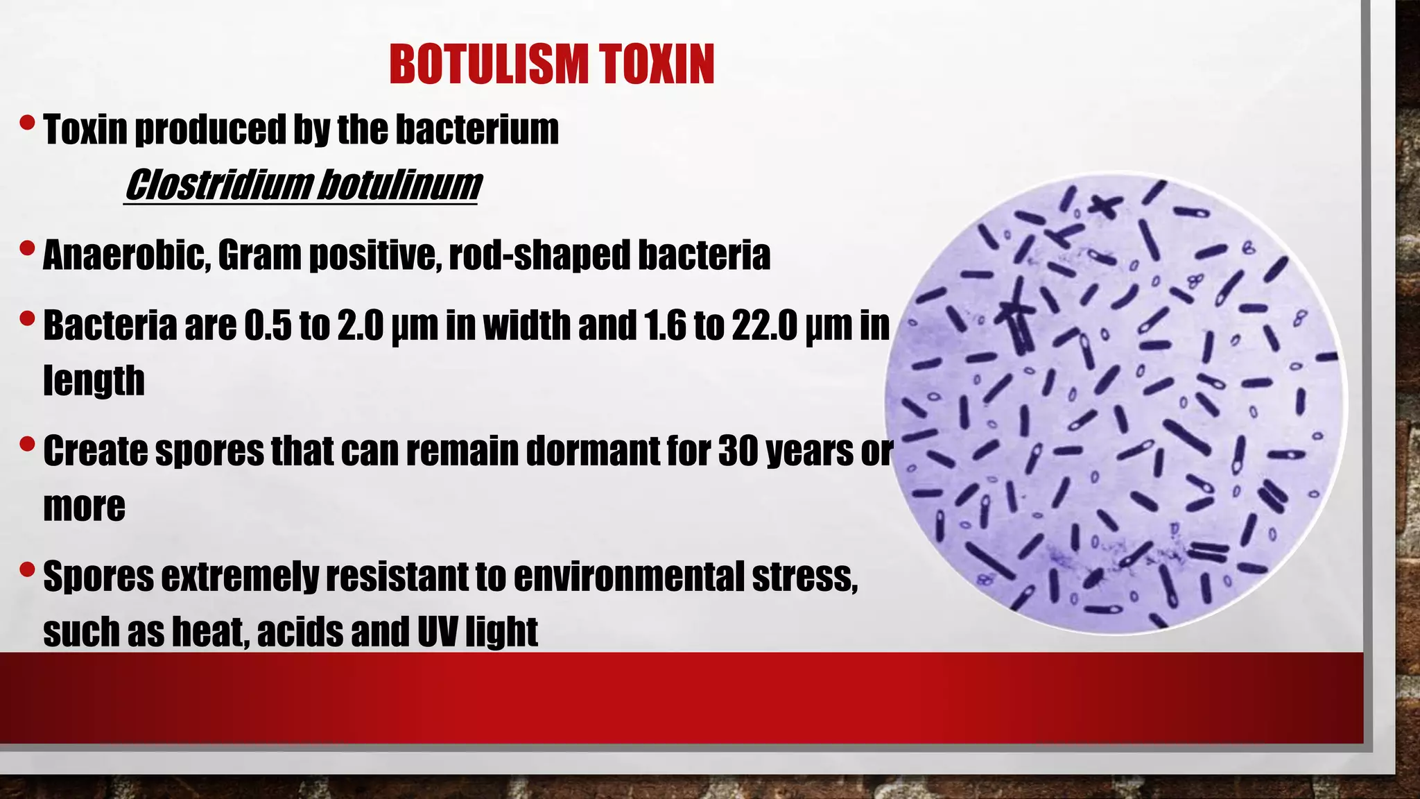 Clostridium botulinum | PPTX
