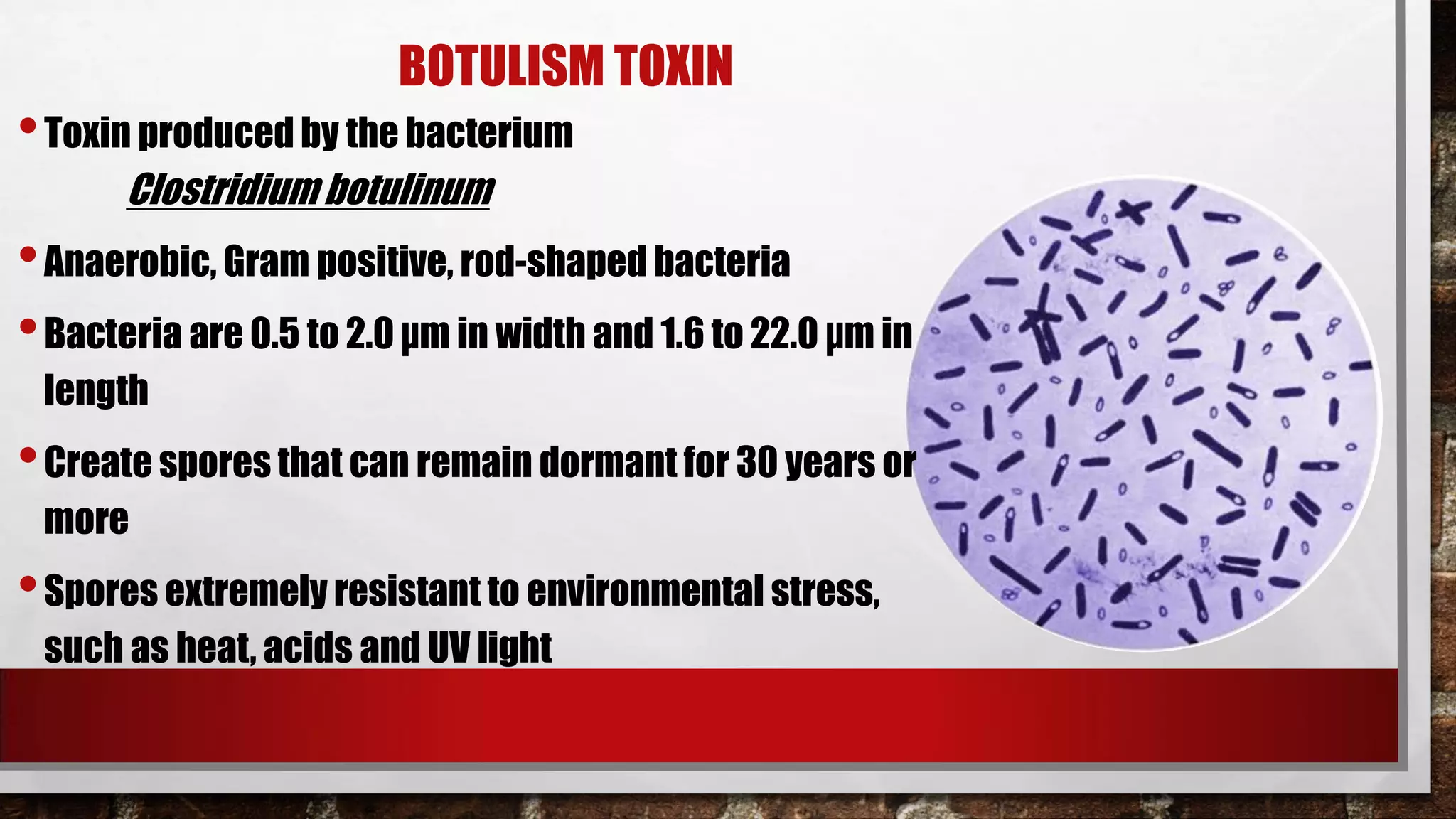 Clostridium botulinum.pdf