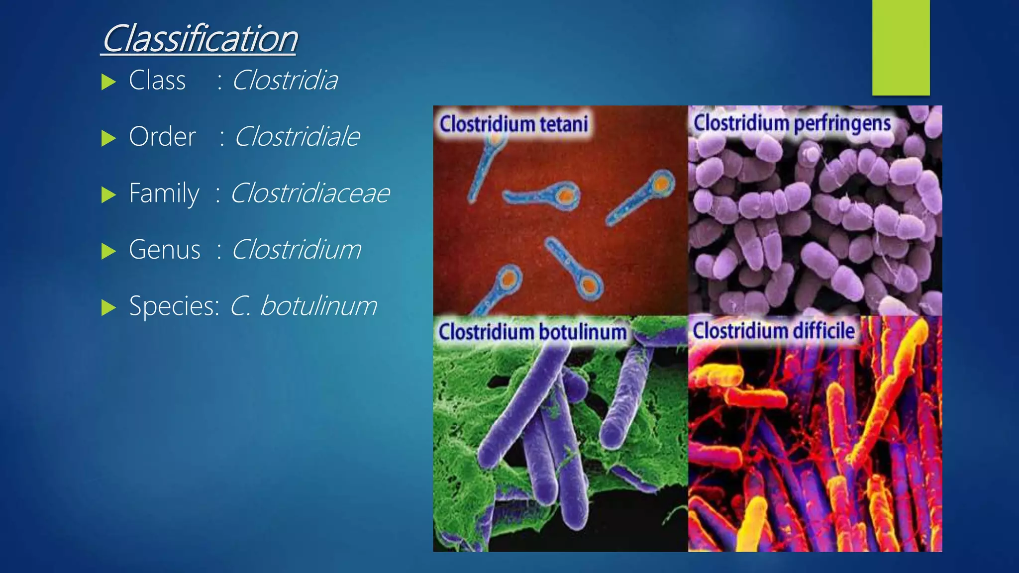 Clostridium botulinum disease | PPT