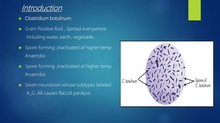 Clostridium botulinum disease | PPT