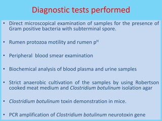 Clostridium botulinum ppt | PPT