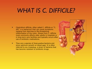 Clostridium Difficile | PPT