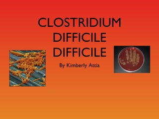 Clostridium Difficile | PPT