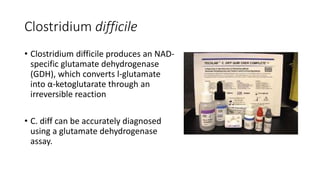 Clostridium difficile | PPT