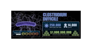 Clostridium difficile | PPT