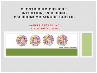 Clostridium difficile | PPTX