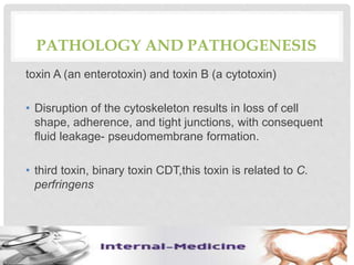 Clostridium difficile | PPTX