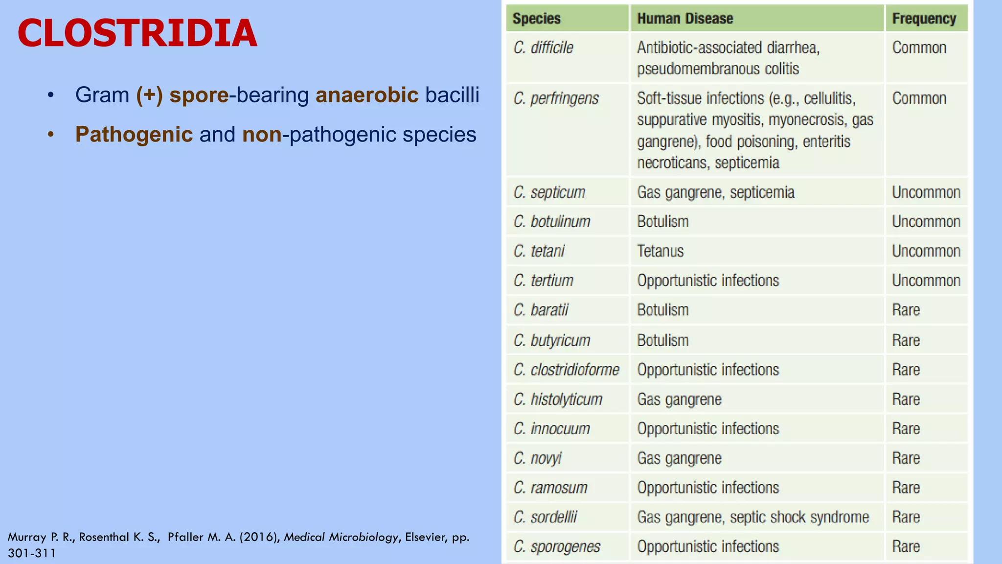 Clostridium difficile | PDF