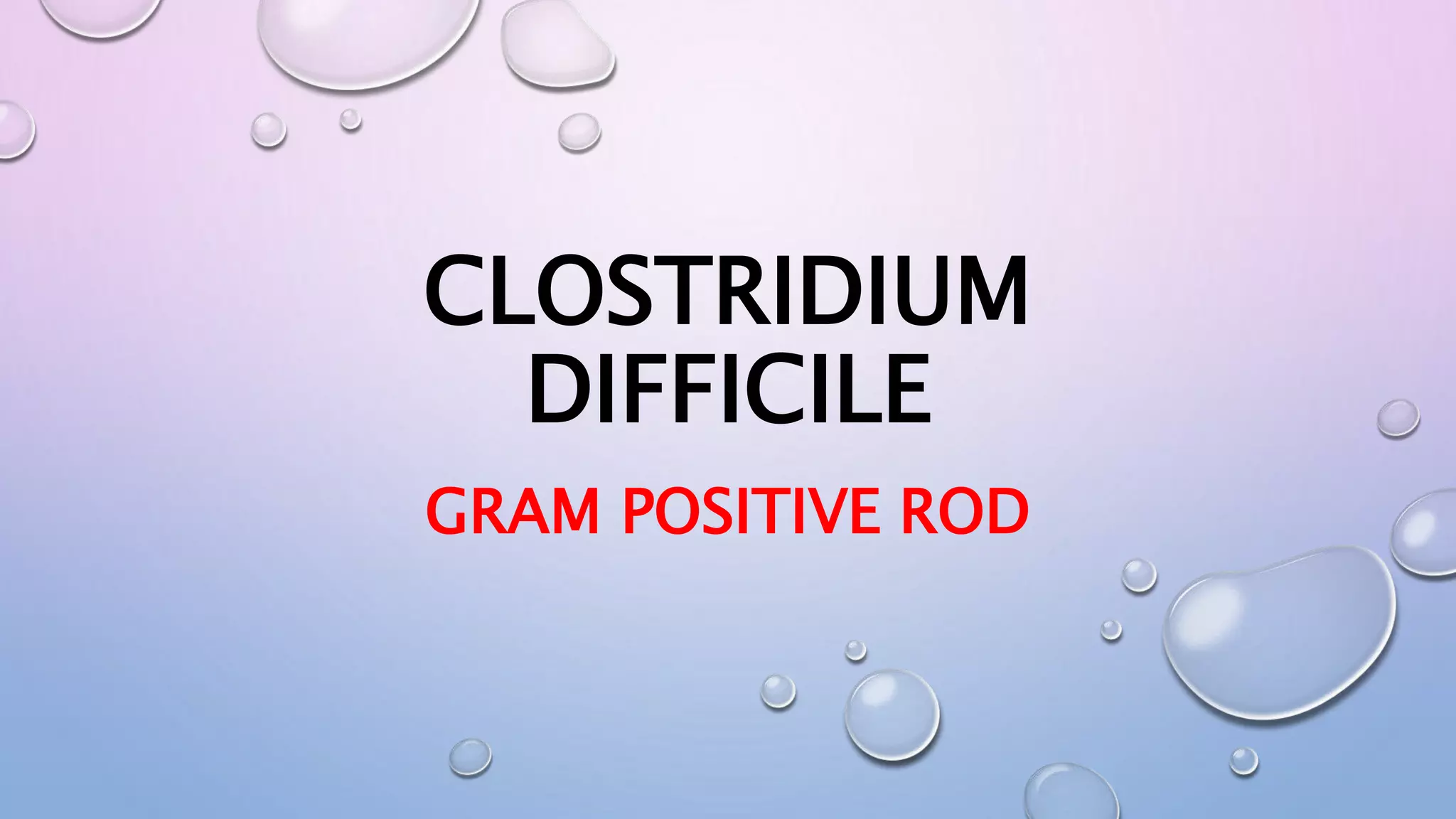 Clostridium Difficile Bacteria | Clinical Bacteriology | Microbiology Lecture -اردو/हिंदी | PPTX