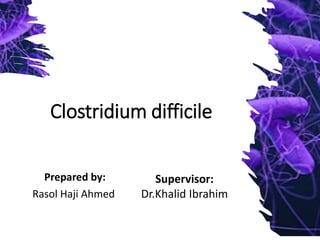 Clostridium difficile pptx - Rasol Sindy | PPTX
