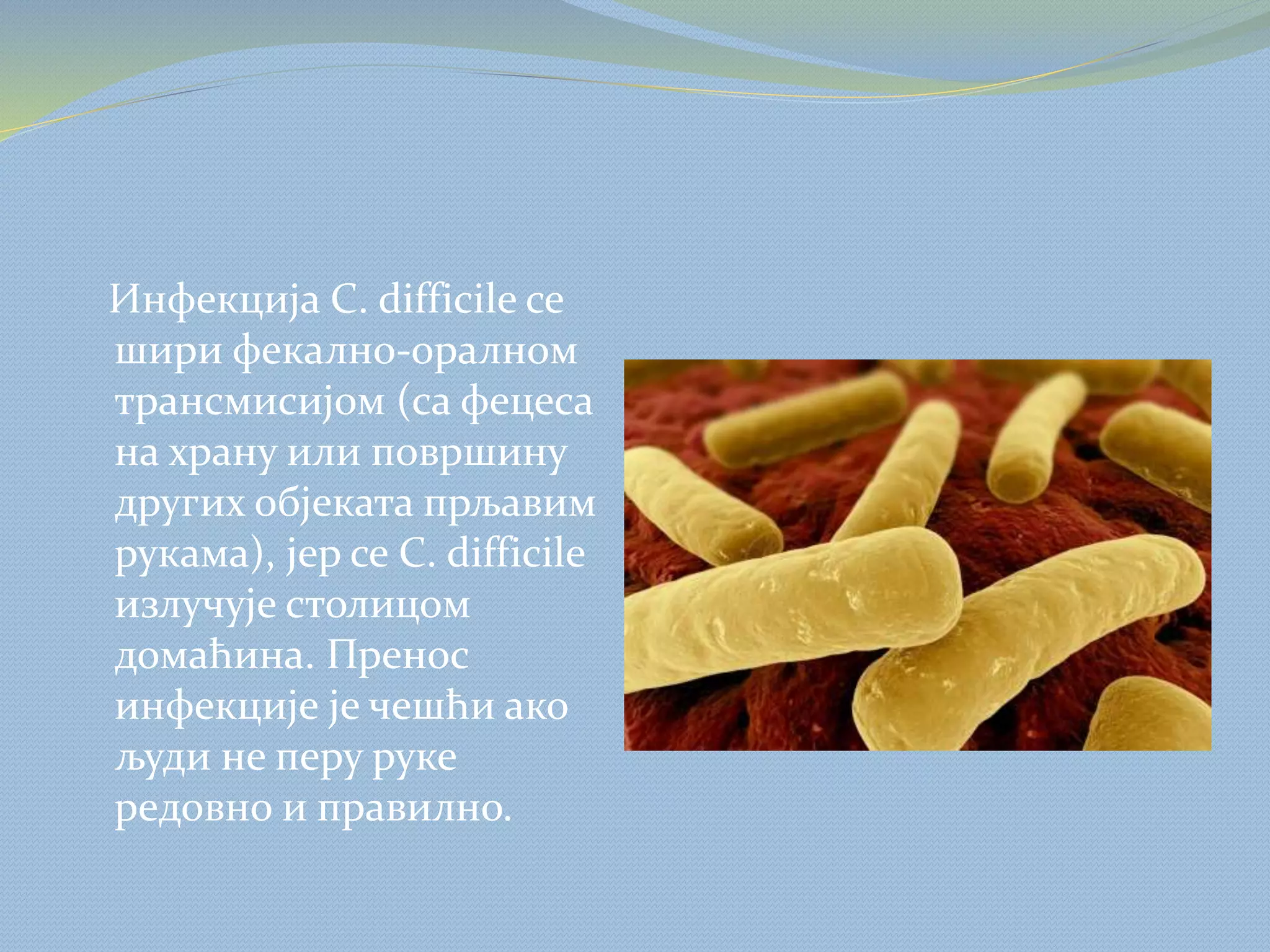 CLOSTRIDIUM DIFFICILE.pptx
