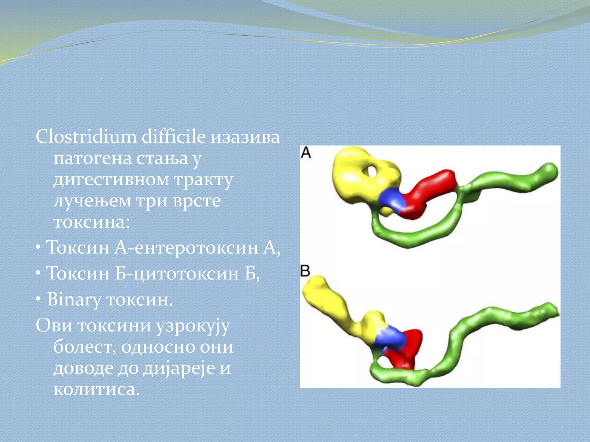 CLOSTRIDIUM DIFFICILE.pptx