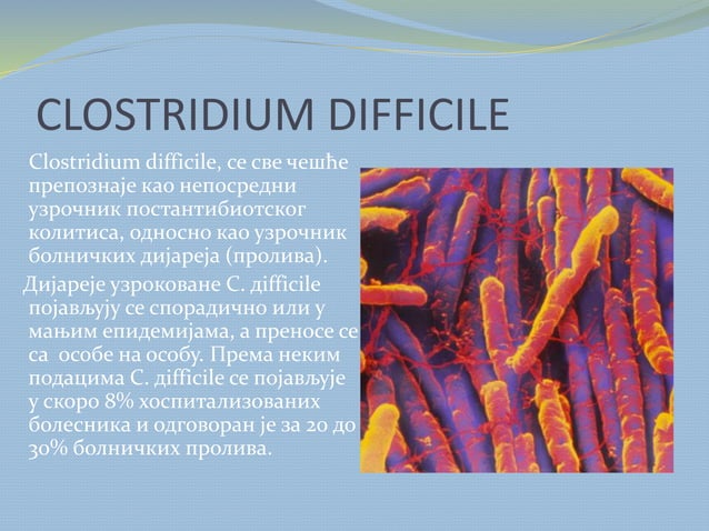 CLOSTRIDIUM DIFFICILE.pptx