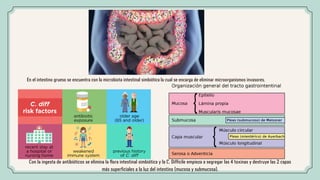 CLOSTRIDIUM DIFFICILE | PDF