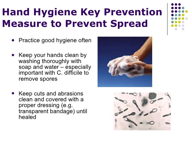Clostridium difficile 2010