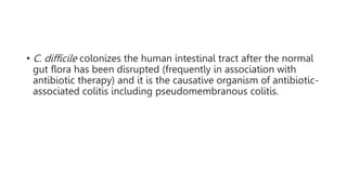 Clostridium Difficile Infection(CDI).pptx