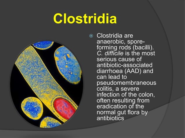 Clostridium difficle An emerging Infection | PPTX