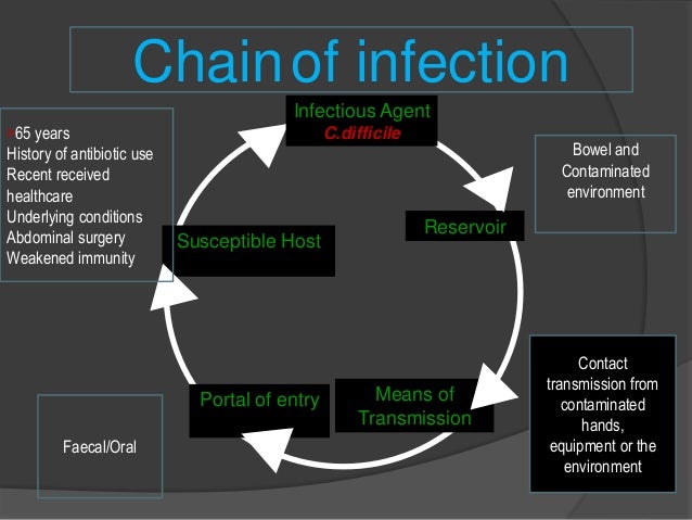 Clostridium difficle An emerging Infection