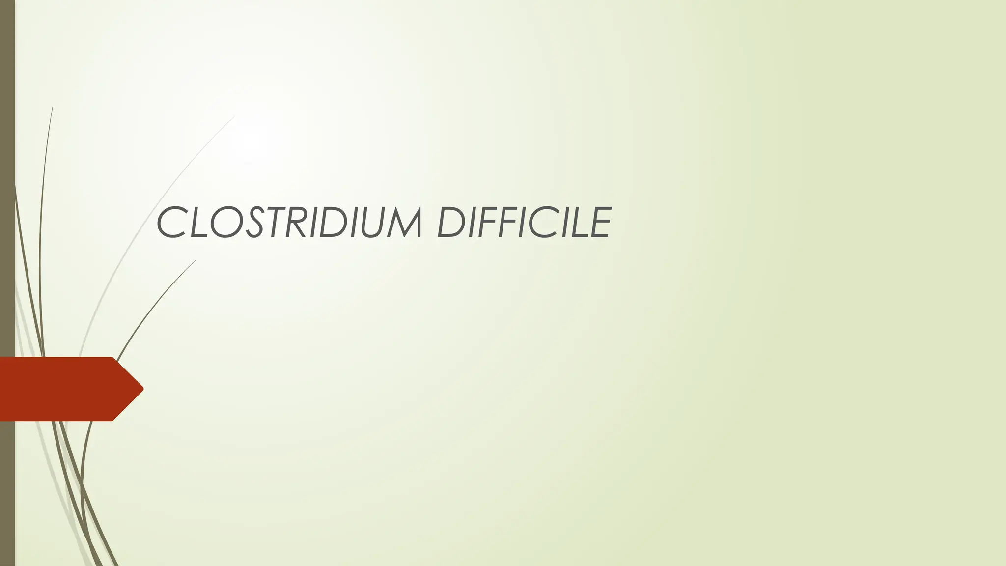 Clostridium difficle microbiology lecture | PPT