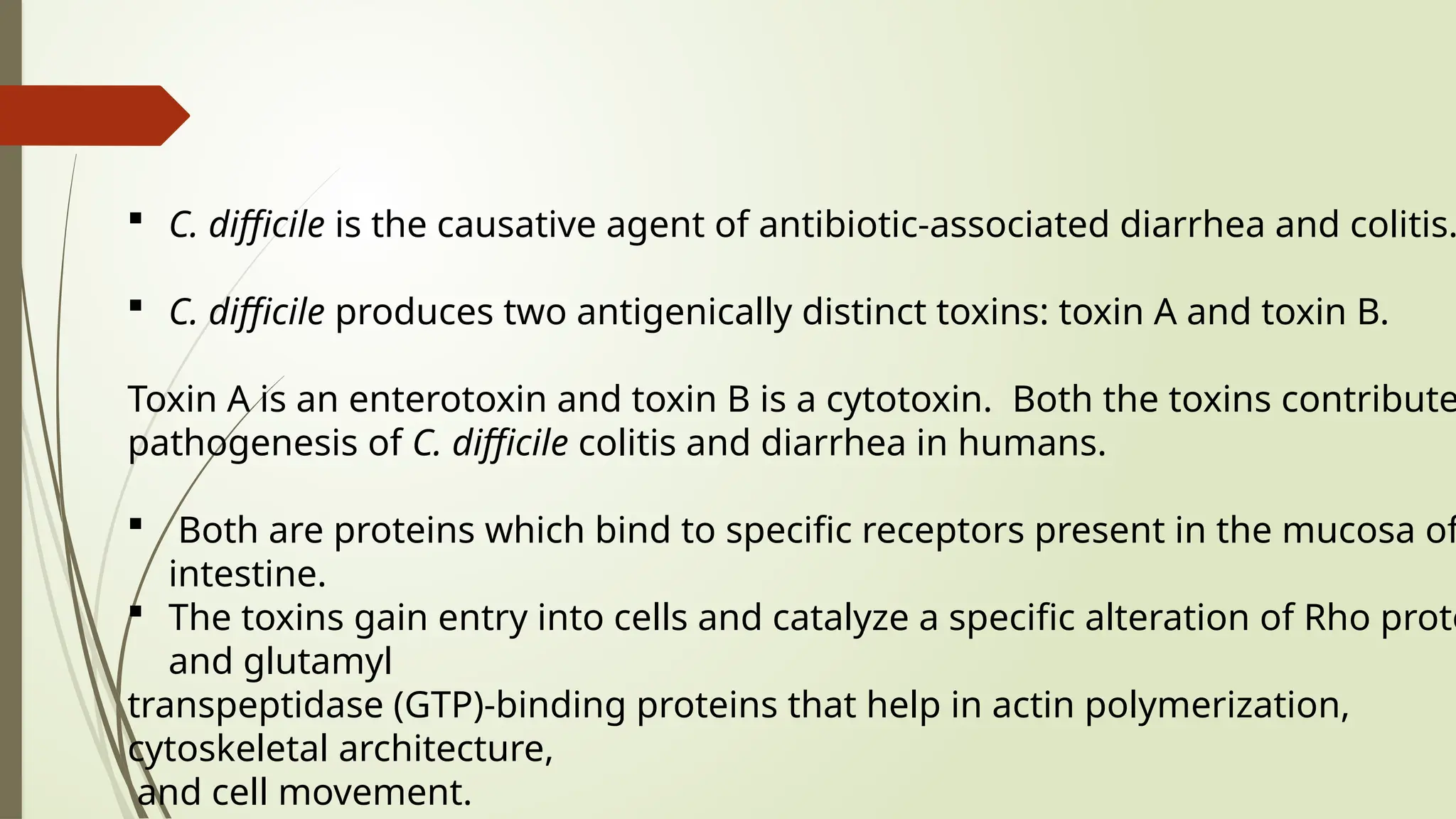Clostridium difficle microbiology lecture | PPTX