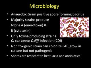 Clostridium diifficile | PPT