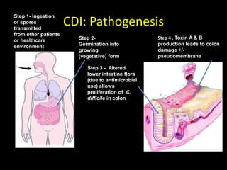 CLOSTRIDIUM DIIFFICICLE.ppt