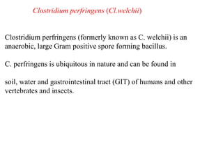 power point presentation of clostridium perfringens for health care ...