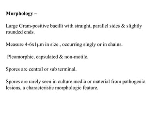power point presentation of clostridium perfringens for health care ...
