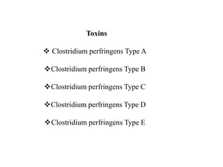 power point presentation of clostridium perfringens for health care ...