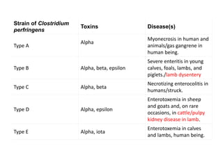 power point presentation of clostridium perfringens for health care ...