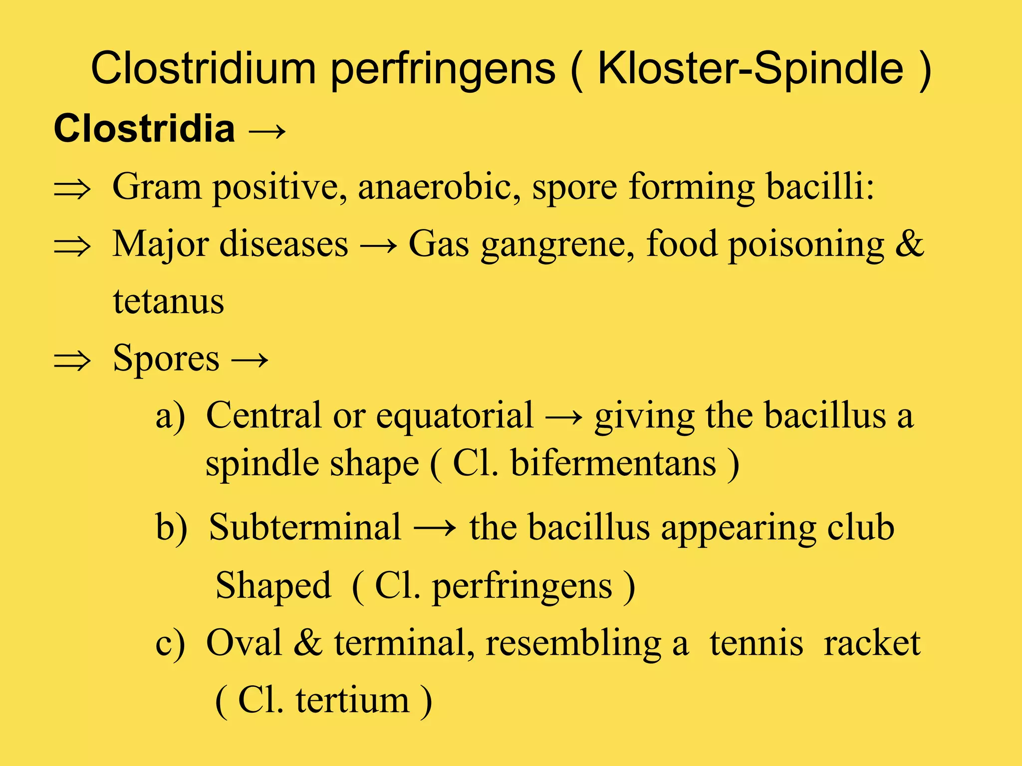 clostridium perfringens.ppt